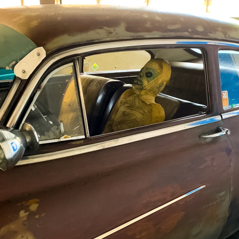 Plants - Big Plant Nursery